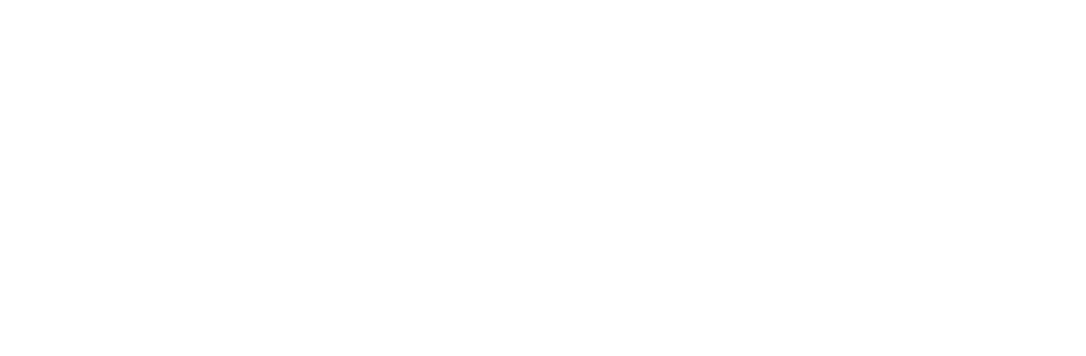 ANOR – Оператор простых решений